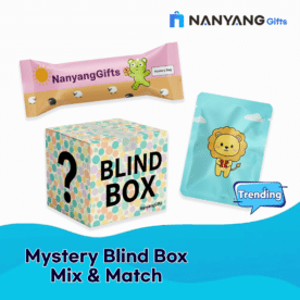 Custom Printed Blind Box With Gift | Blind Box